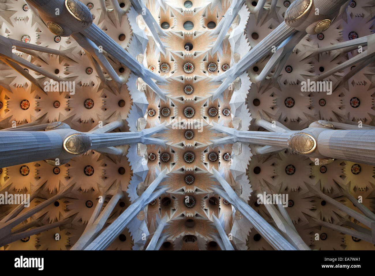 Columns that branch out like trees and vault of the Sagrada Familia ...