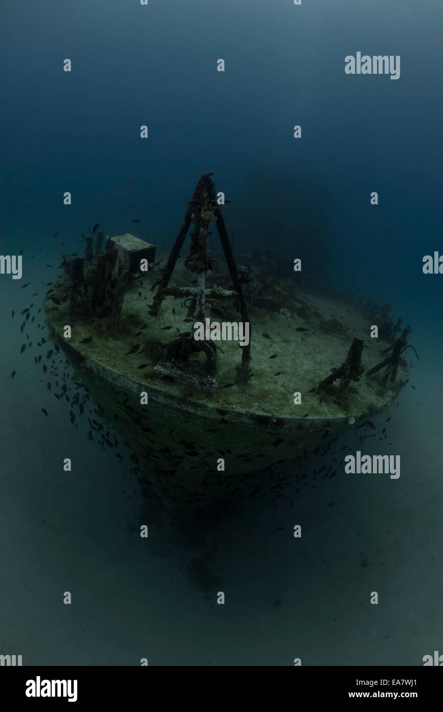 P31 patrol boat hi-res stock photography and images - Alamy