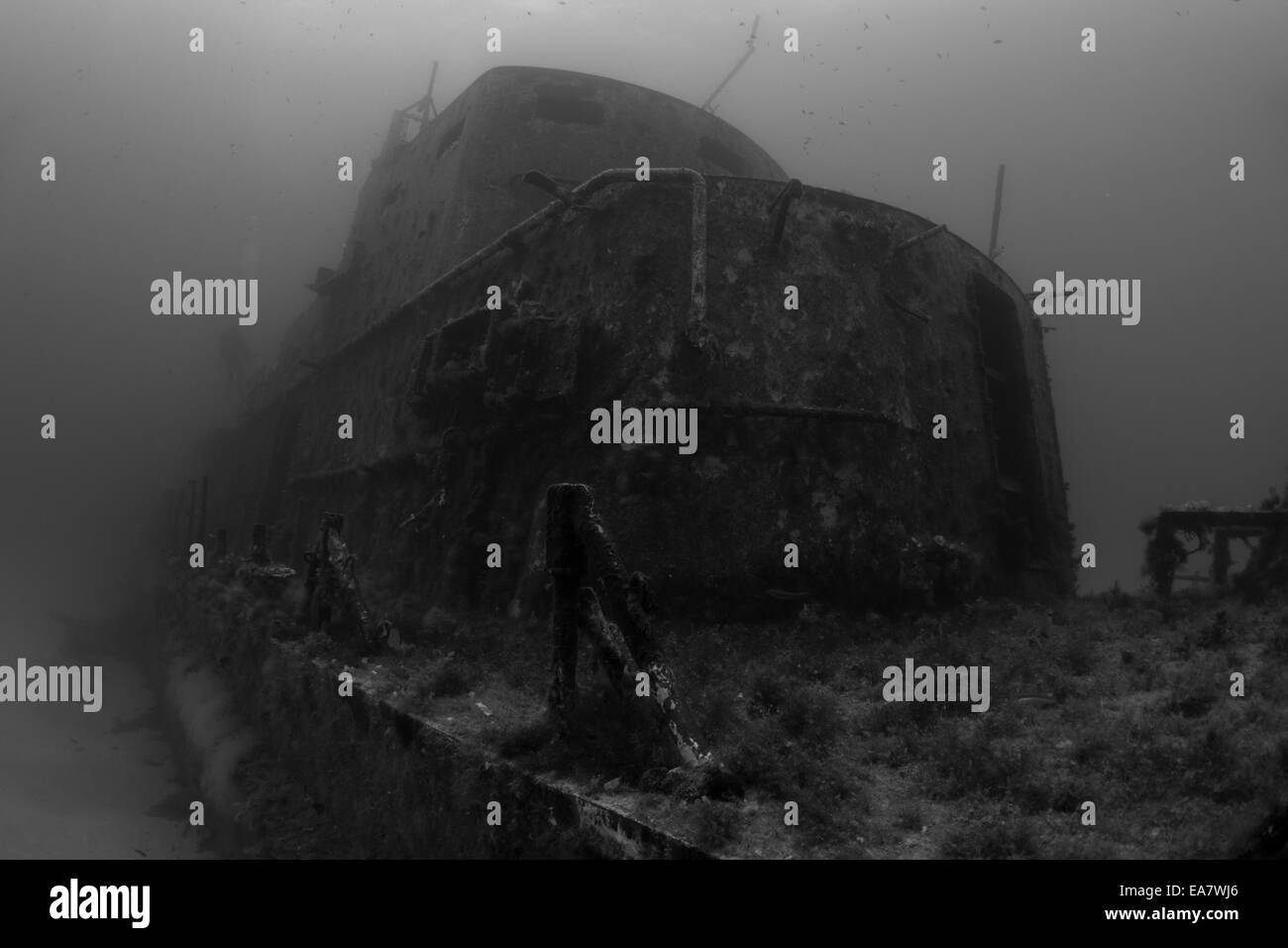 P31 wreck at Comino, Malta, Mediterranean sea. An old patrol boat ...
