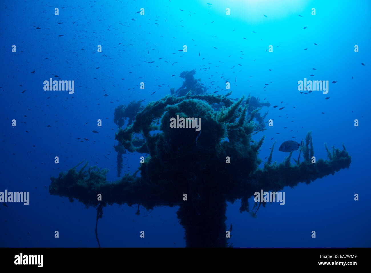 Black patrol boat hi-res stock photography and images - Alamy