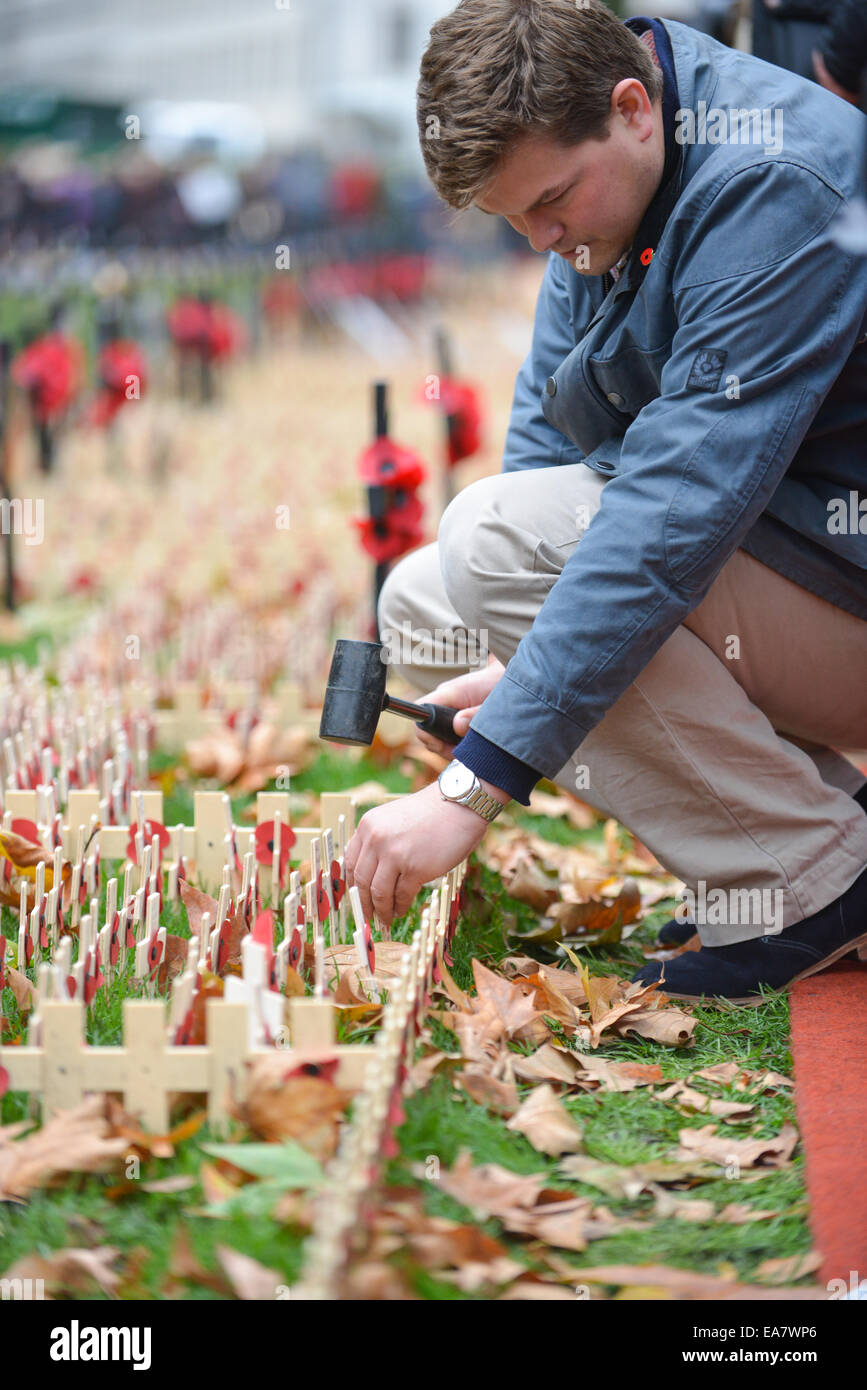 Westminster Abbey, London, UK. 8th November 2014. The Field of ...