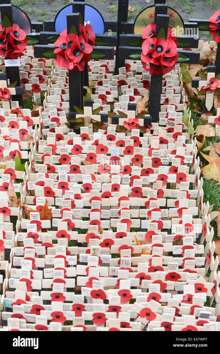 Westminster Abbey, London, UK. 8th November 2014. The Field of ...