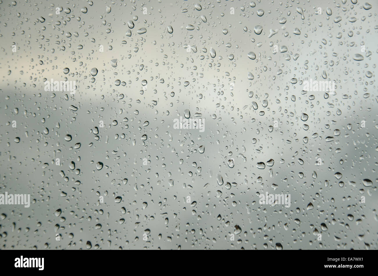 Close up rainwater droplets on hi-res stock photography and images - Alamy