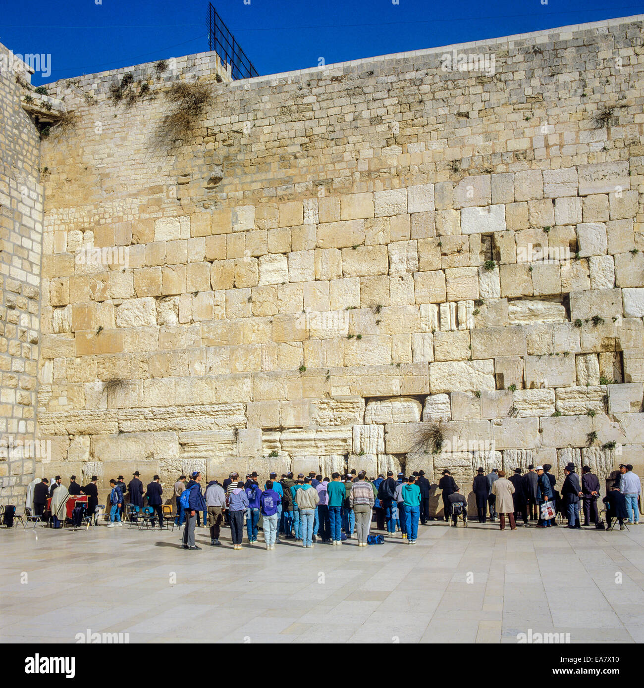 Jews praying at Western wall Jerusalem Israel Stock Photo - Alamy