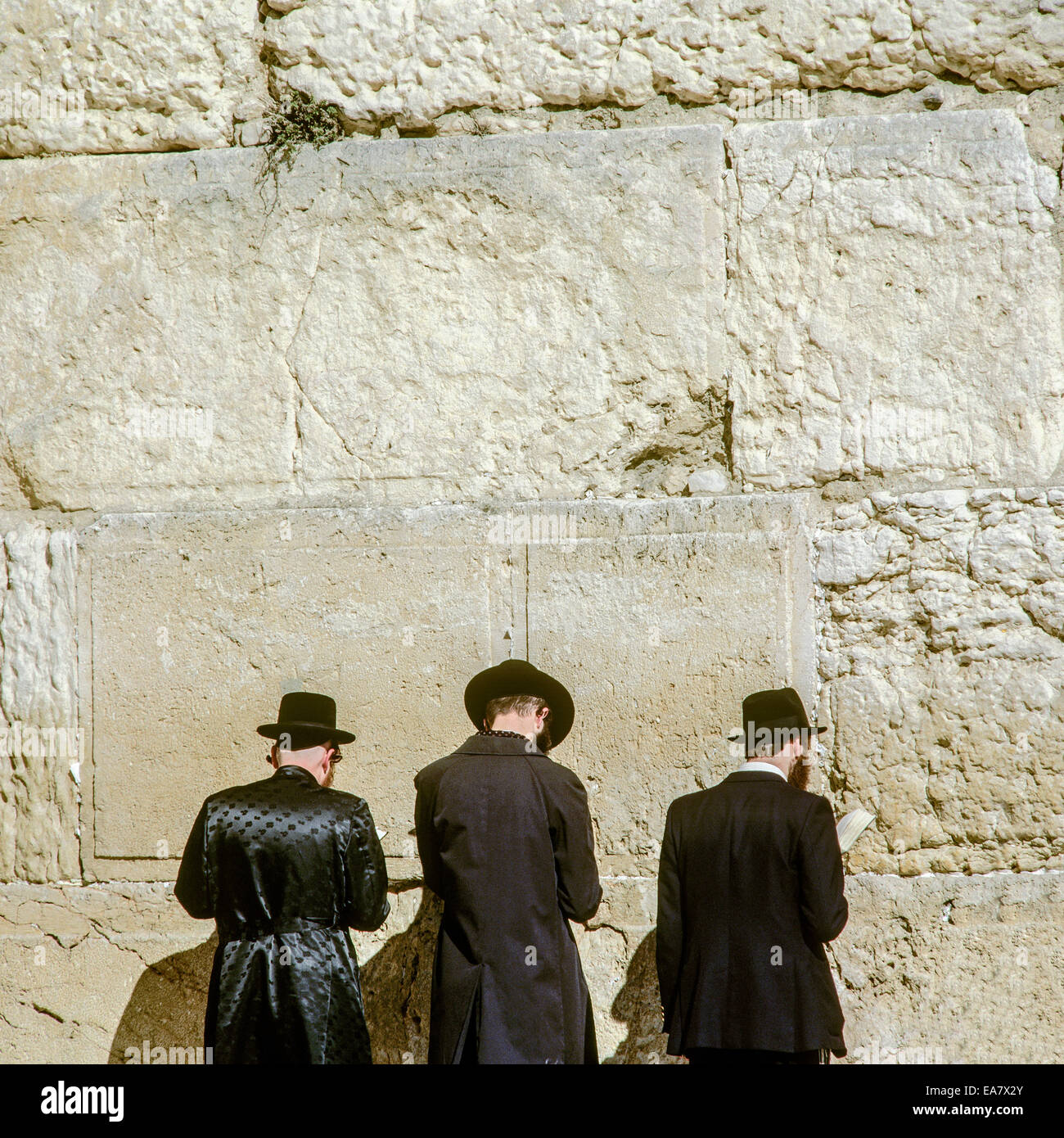 3 Jews praying at Western wall Jerusalem Israel Stock Photo - Alamy