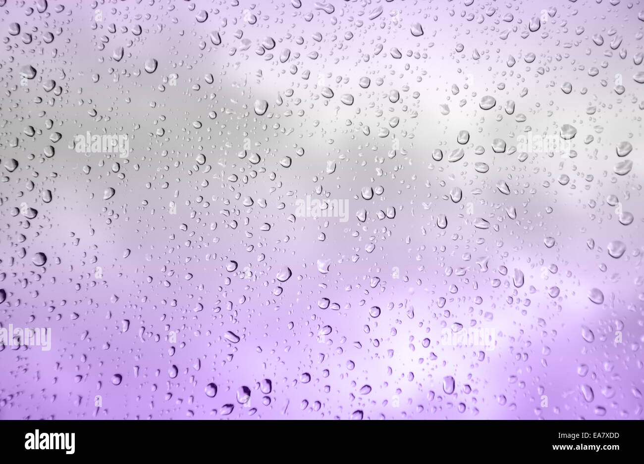 abstract violet color background with drop water Stock Photo - Alamy