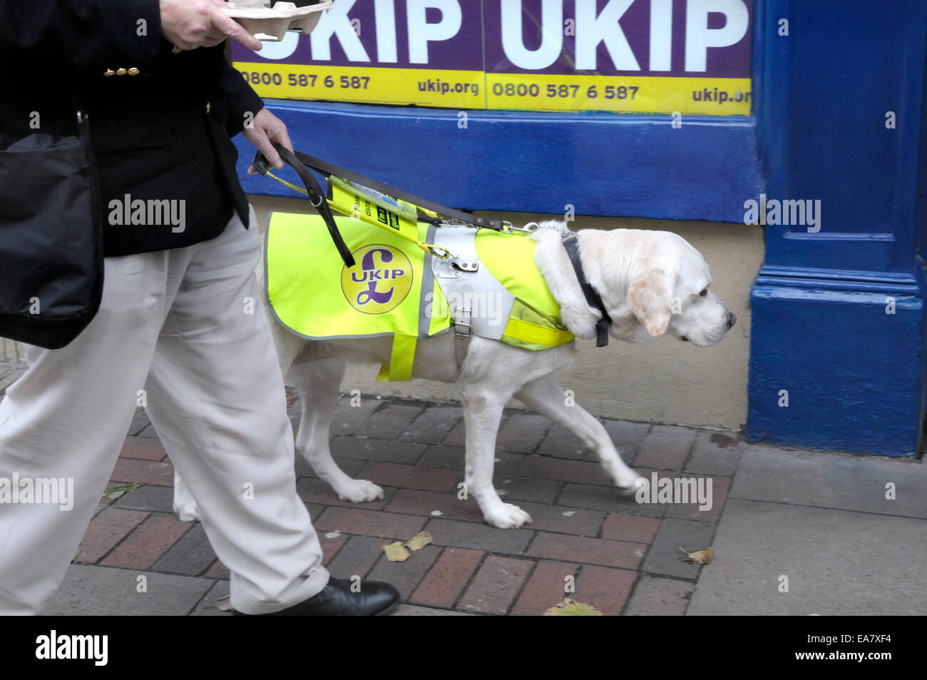 Rochester, UK. 8th Nov, 2014. Alun J Elder-Brown 'The Blind Blogger ...