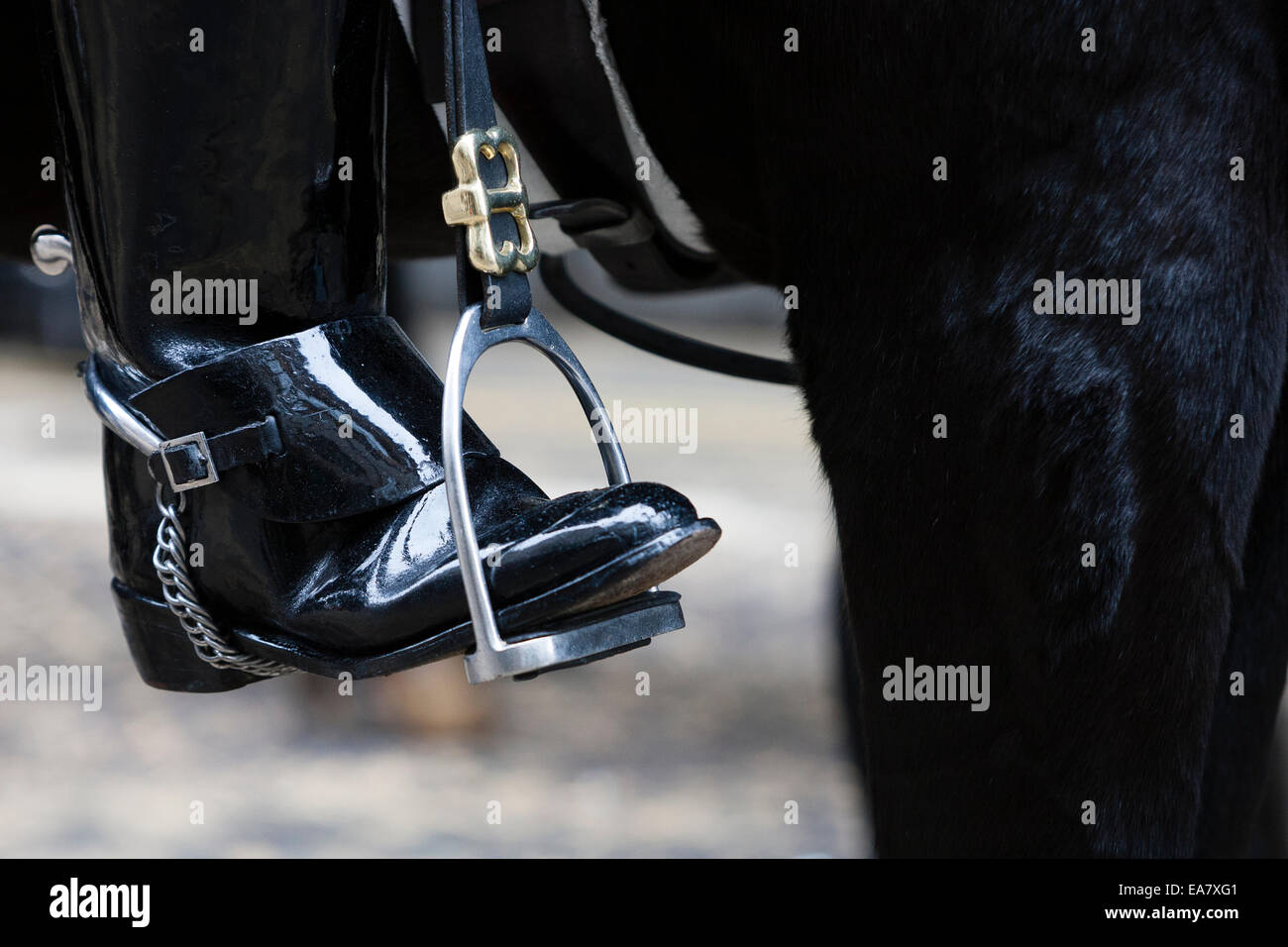 Lord stirrup hi-res stock photography and images - Alamy