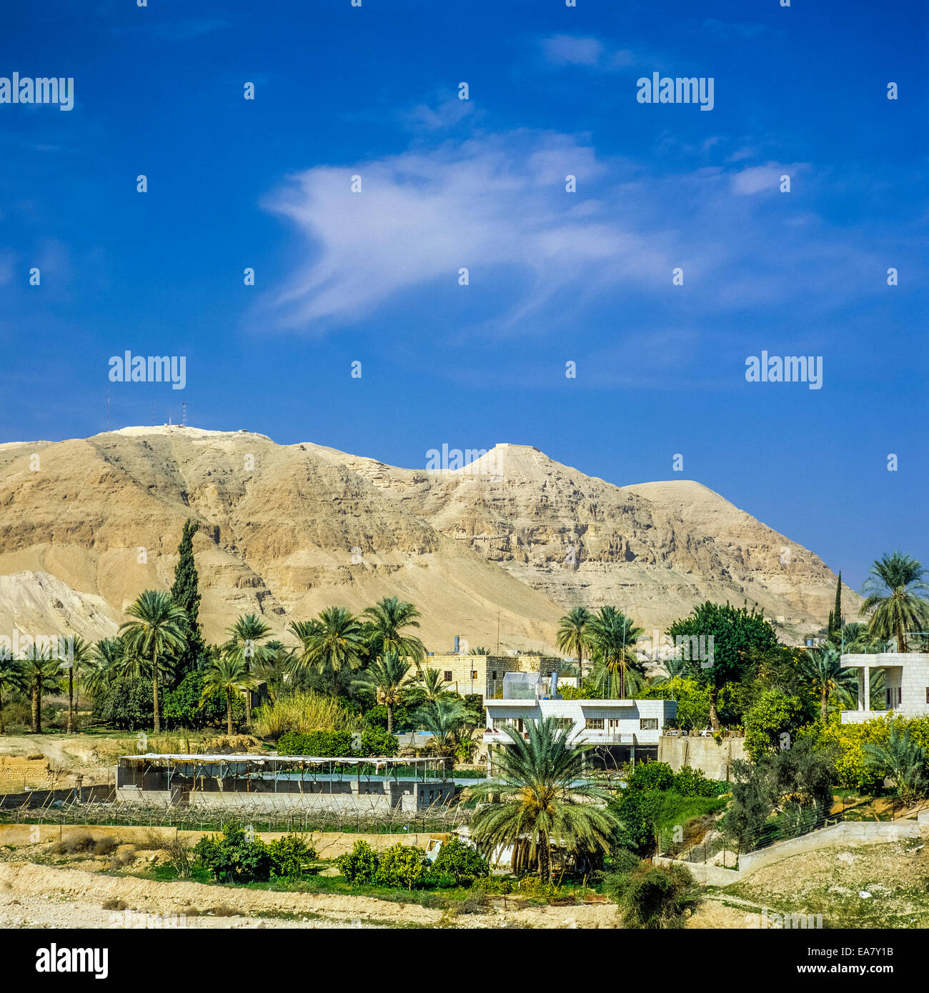 Houses among trees Jericho and Judean hills Israel Stock Photo - Alamy