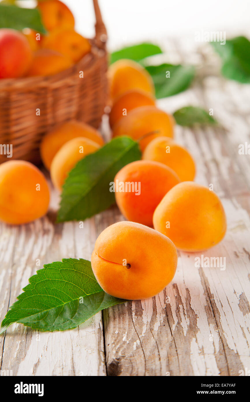 Basket apricots summer garden hi-res stock photography and images - Alamy