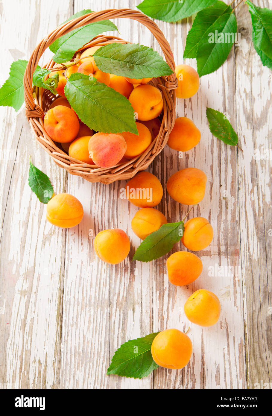 Basket apricots summer garden hi-res stock photography and images - Alamy