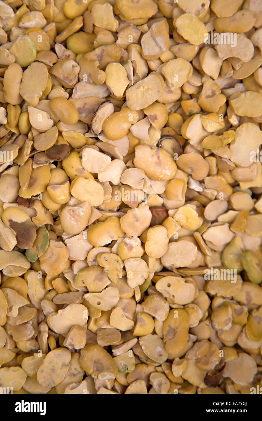 Argan seeds hi-res stock photography and images - Alamy