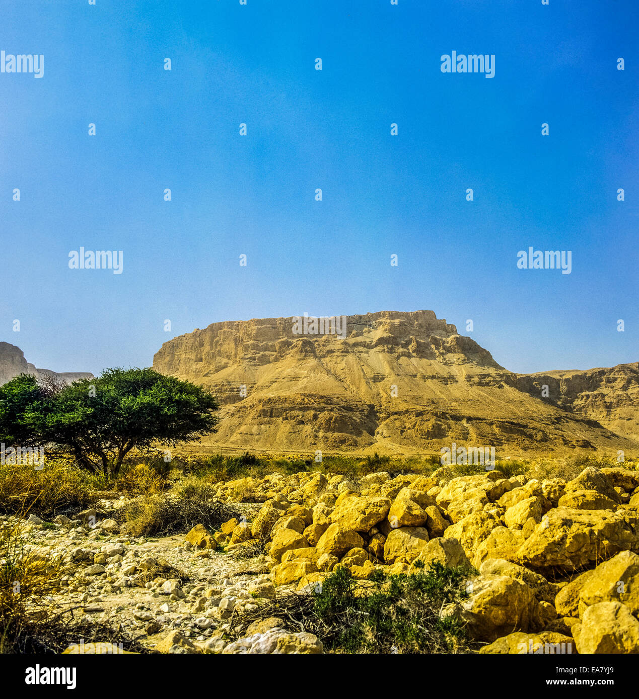 Masada rock Judean desert Dead Sea area Israel Stock Photo - Alamy