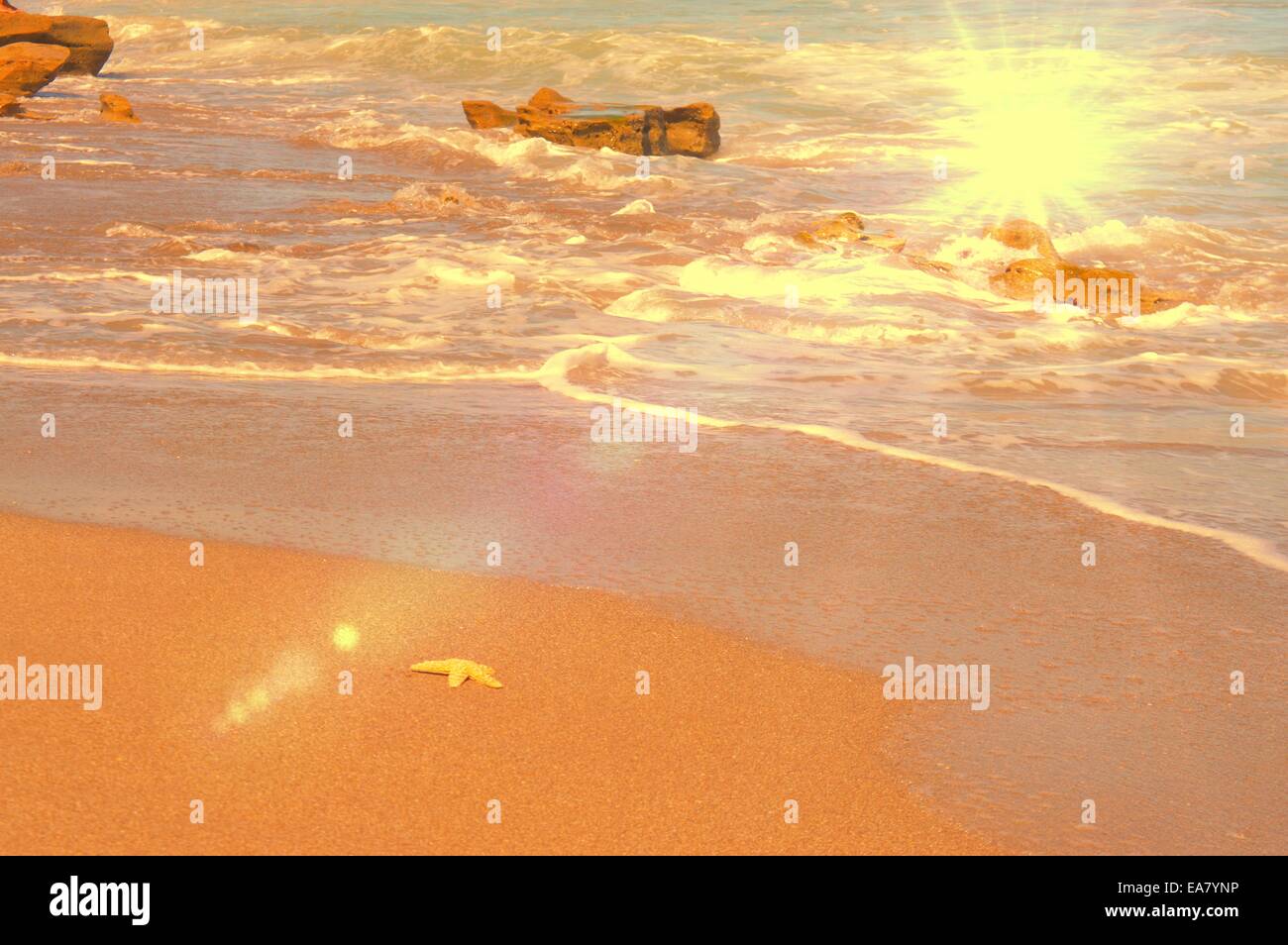 Fish light rays in sea hi-res stock photography and images - Alamy