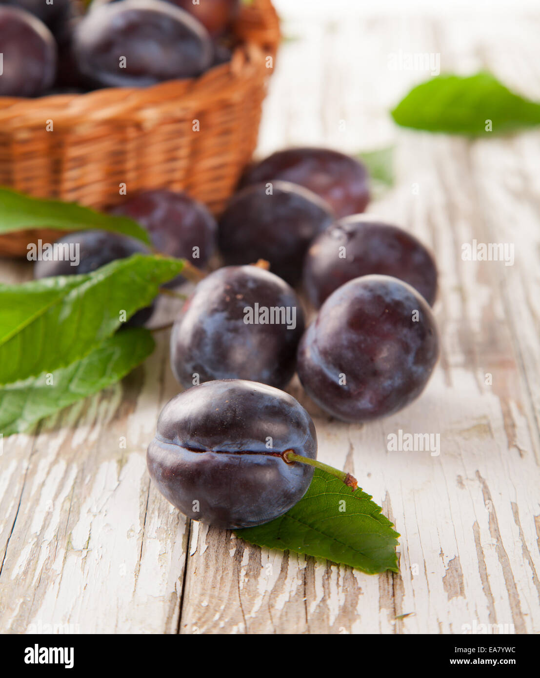 fresh harvested plums in basket Stock Photo - Alamy