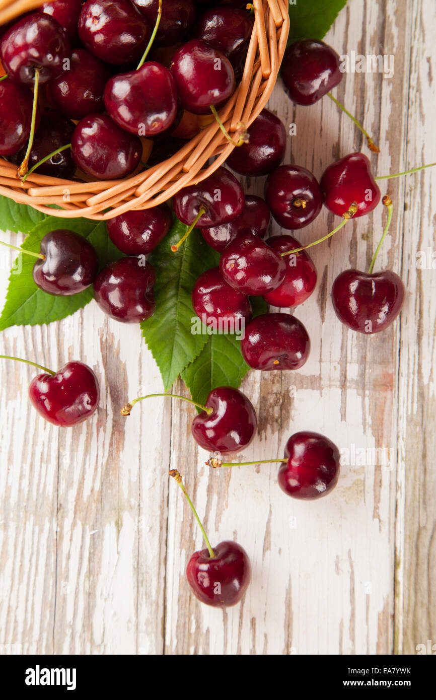 Fresh harvested cherries in basket Stock Photo - Alamy