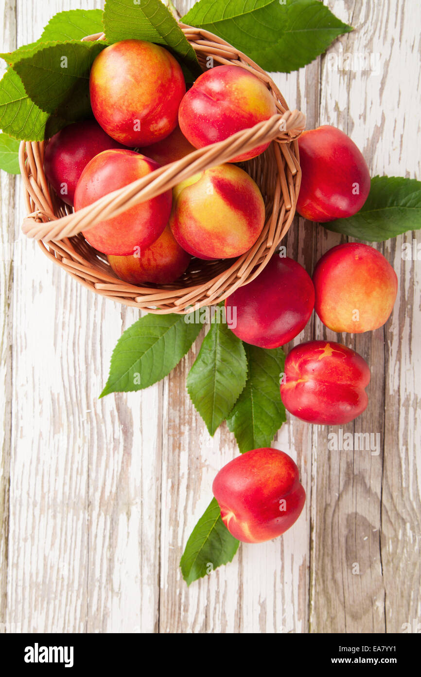 Fresh harvested nectarines in basket Stock Photo - Alamy