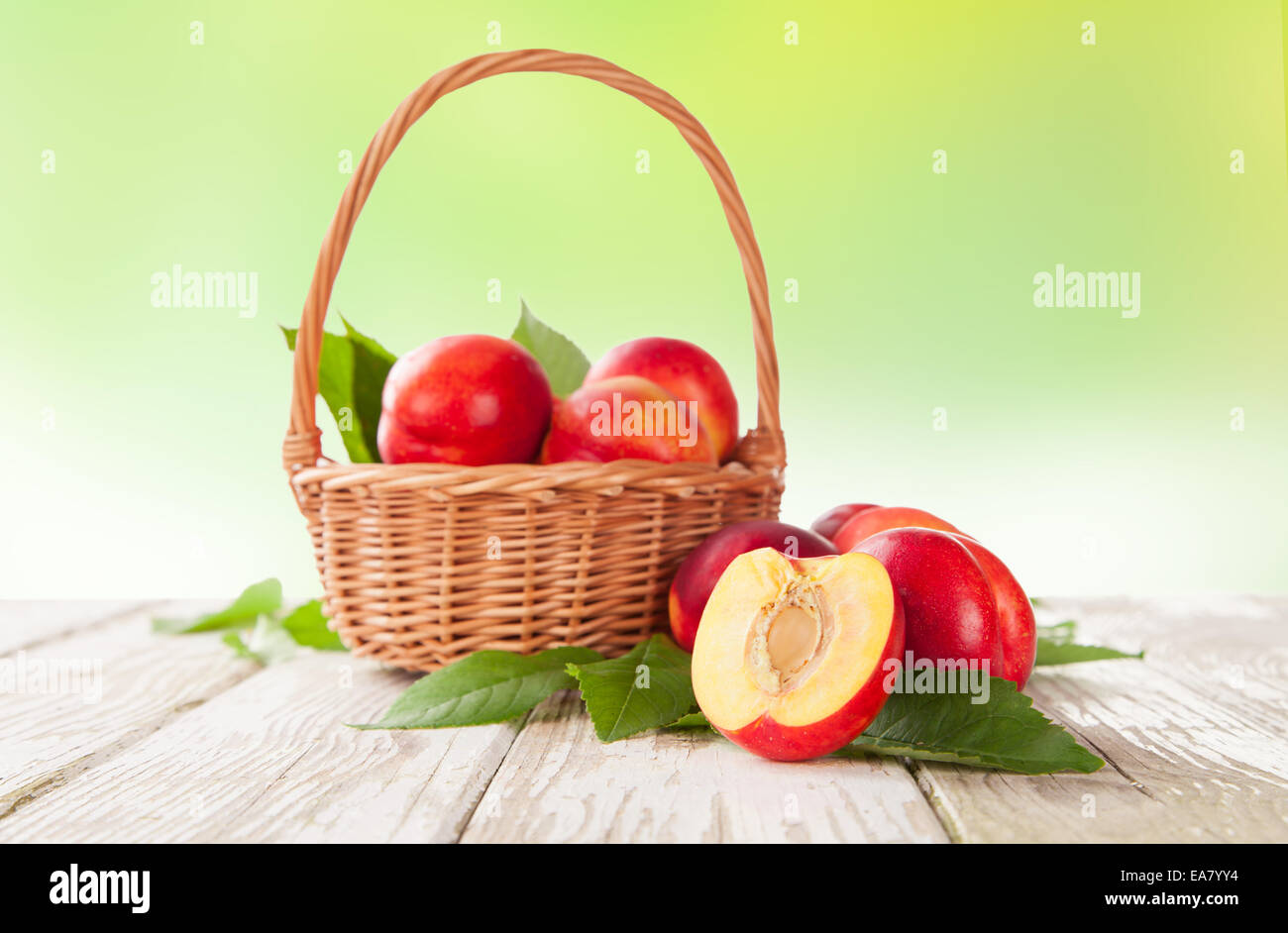 Fresh harvested nectarines in basket Stock Photo - Alamy