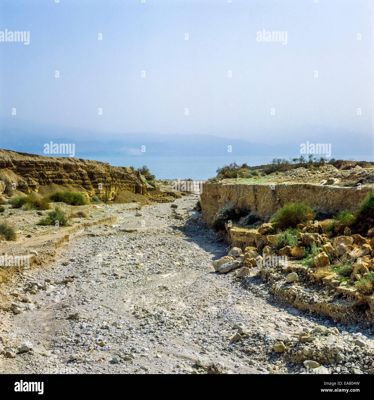 Dry up river and Dead Sea Israel Stock Photo - Alamy