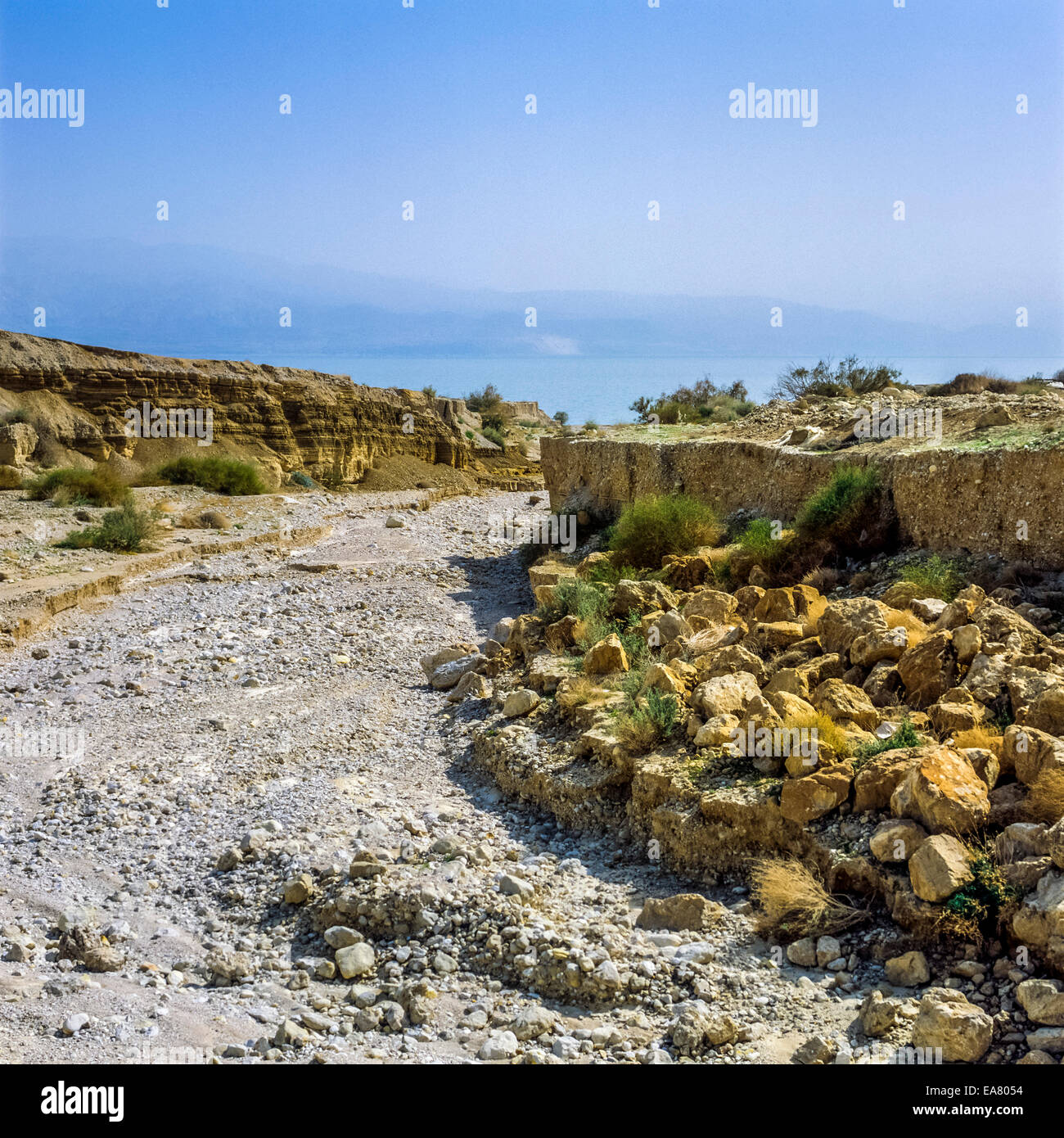 Dried up dead sea israel hi-res stock photography and images - Alamy