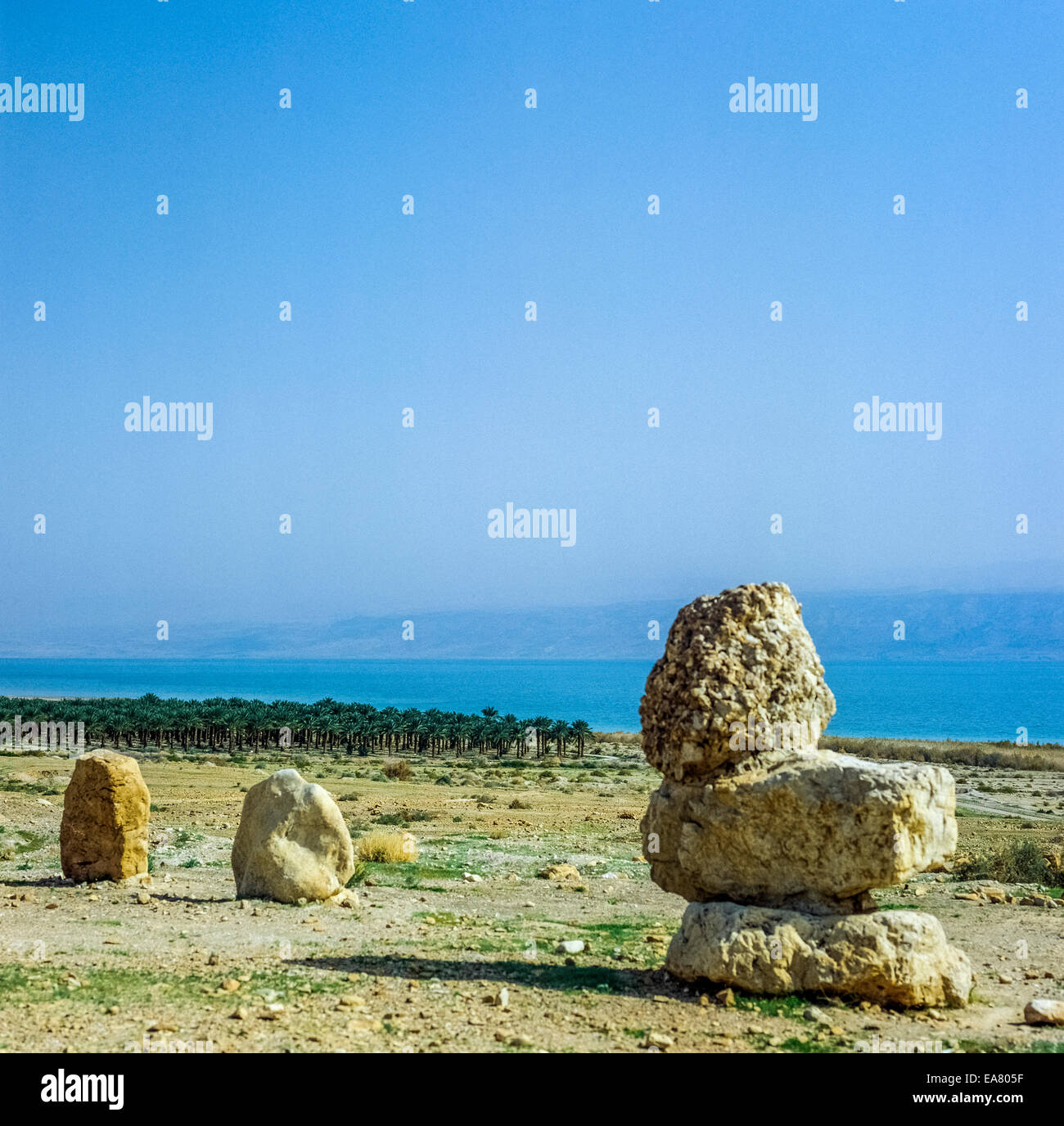 Stacked stones and palm grove at Dead Sea Israel Stock Photo - Alamy