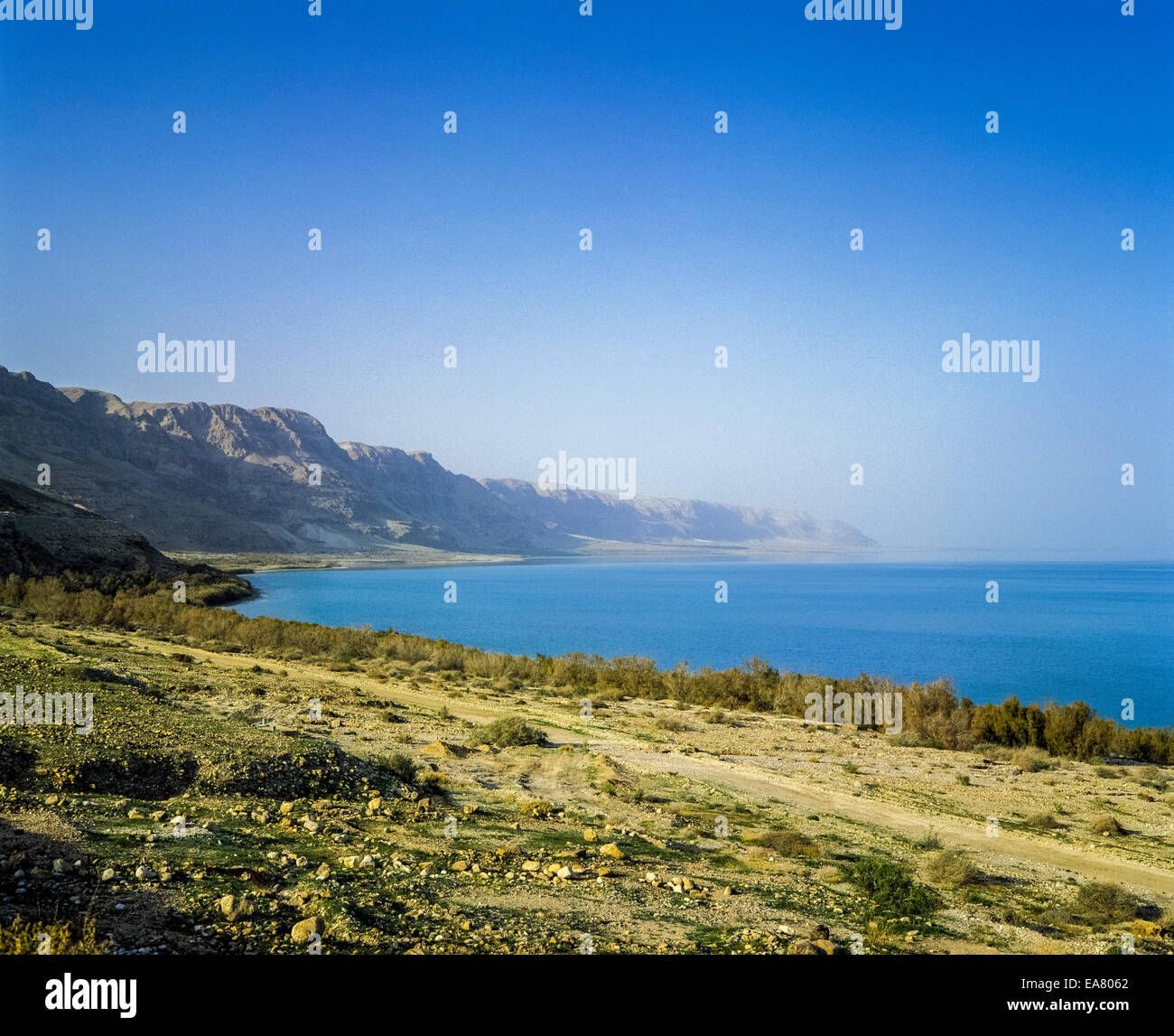 Israel shore dead sea where hi-res stock photography and images - Alamy