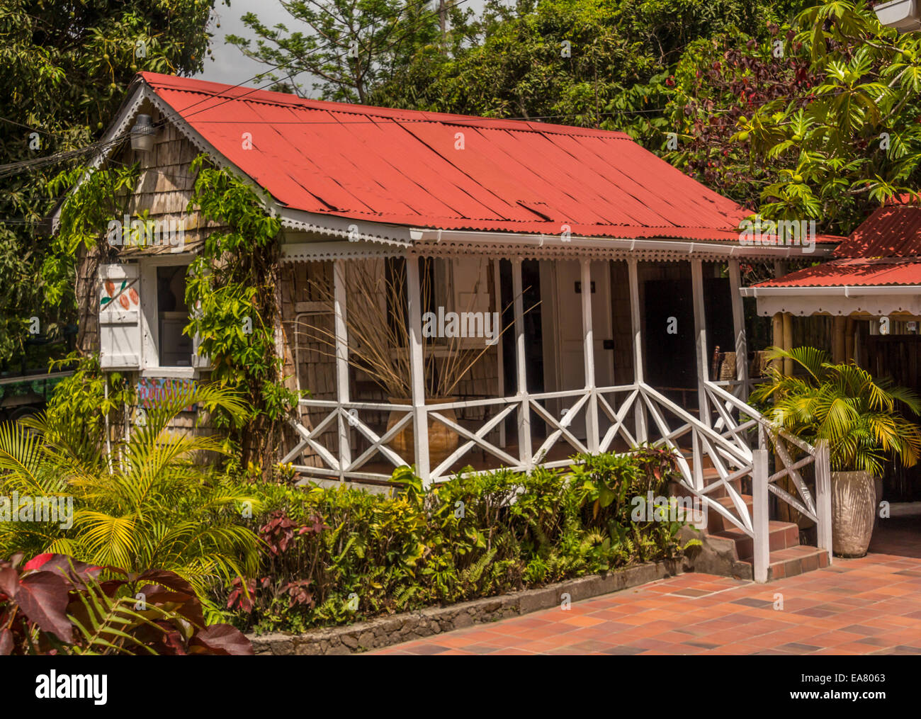 Cocoa plantation hi-res stock photography and images - Alamy