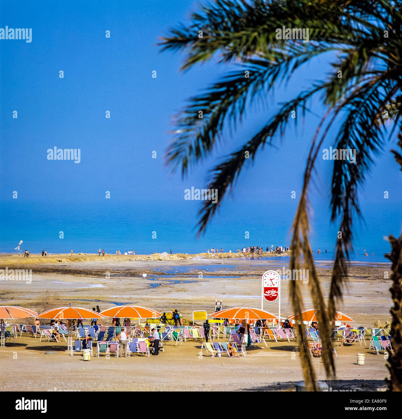 En gedi hi-res stock photography and images - Alamy