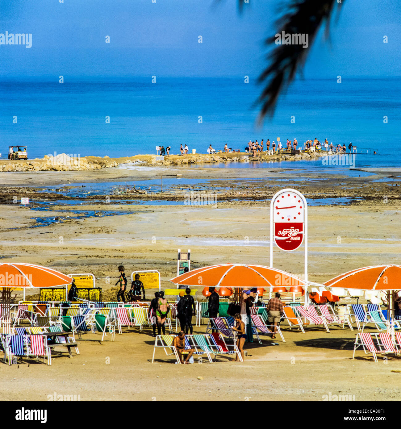 People bathing with black mud at Ein Gedi spa beach at Dead Sea Israel ...