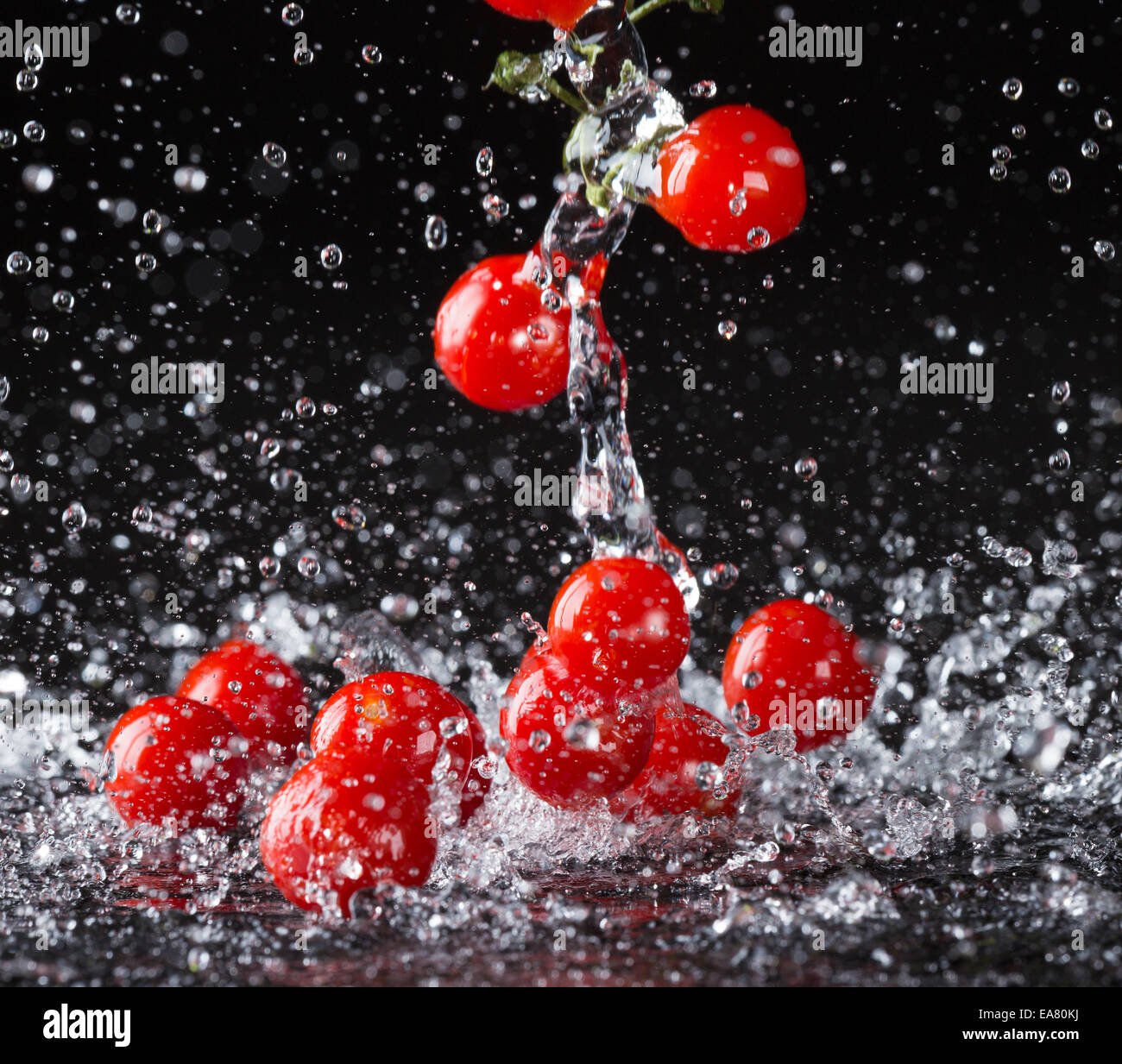 Studio shot with freeze motion of cherry tomatoes in water splash on ...