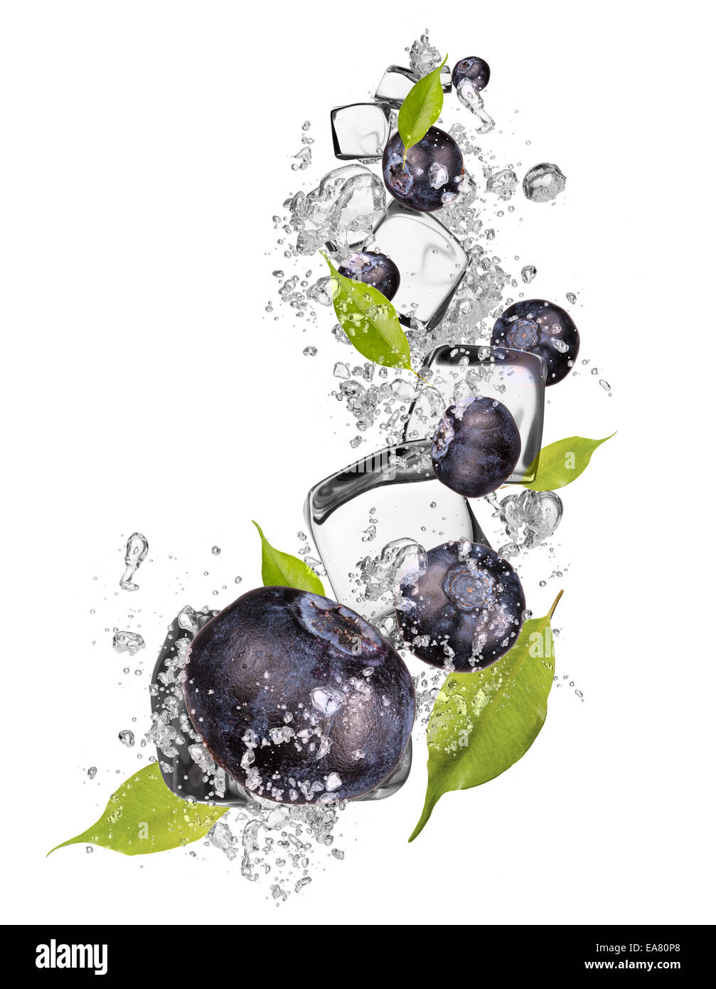 Ice blueberries isolated on white background Stock Photo - Alamy