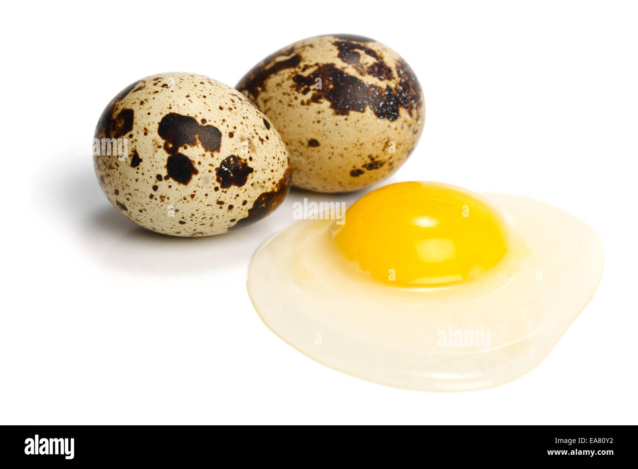 Broken quail hi-res stock photography and images - Alamy