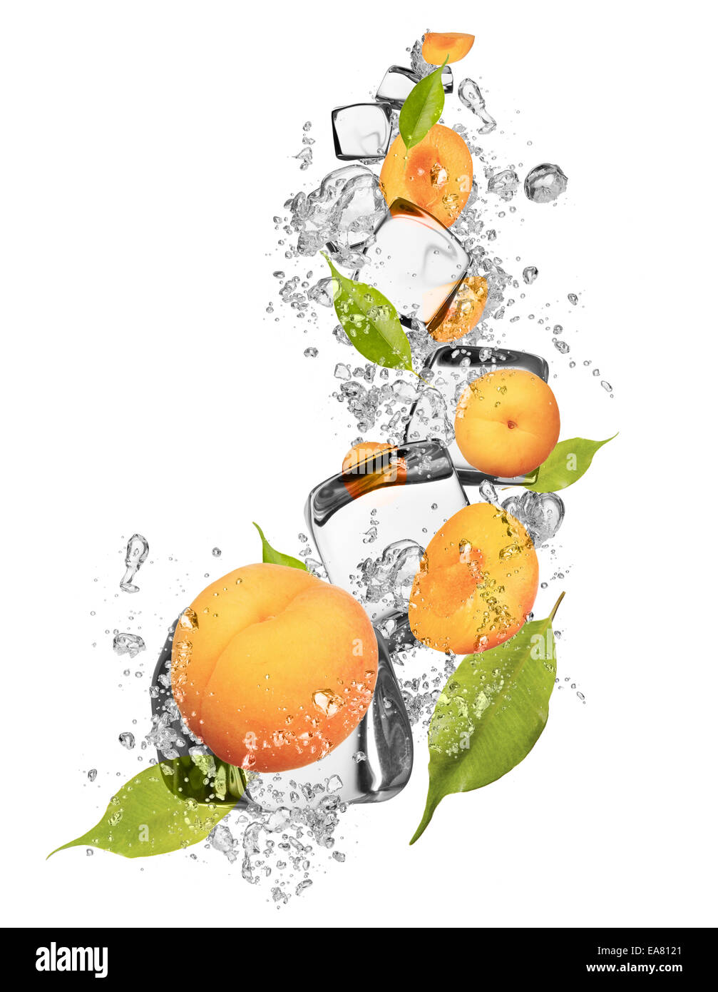 Ice apricot isolated on white background Stock Photo - Alamy