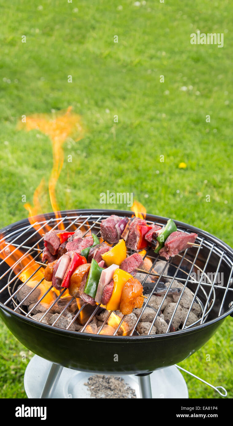 Meat and vegetable skewer on barbecue grill with fire Stock Photo - Alamy
