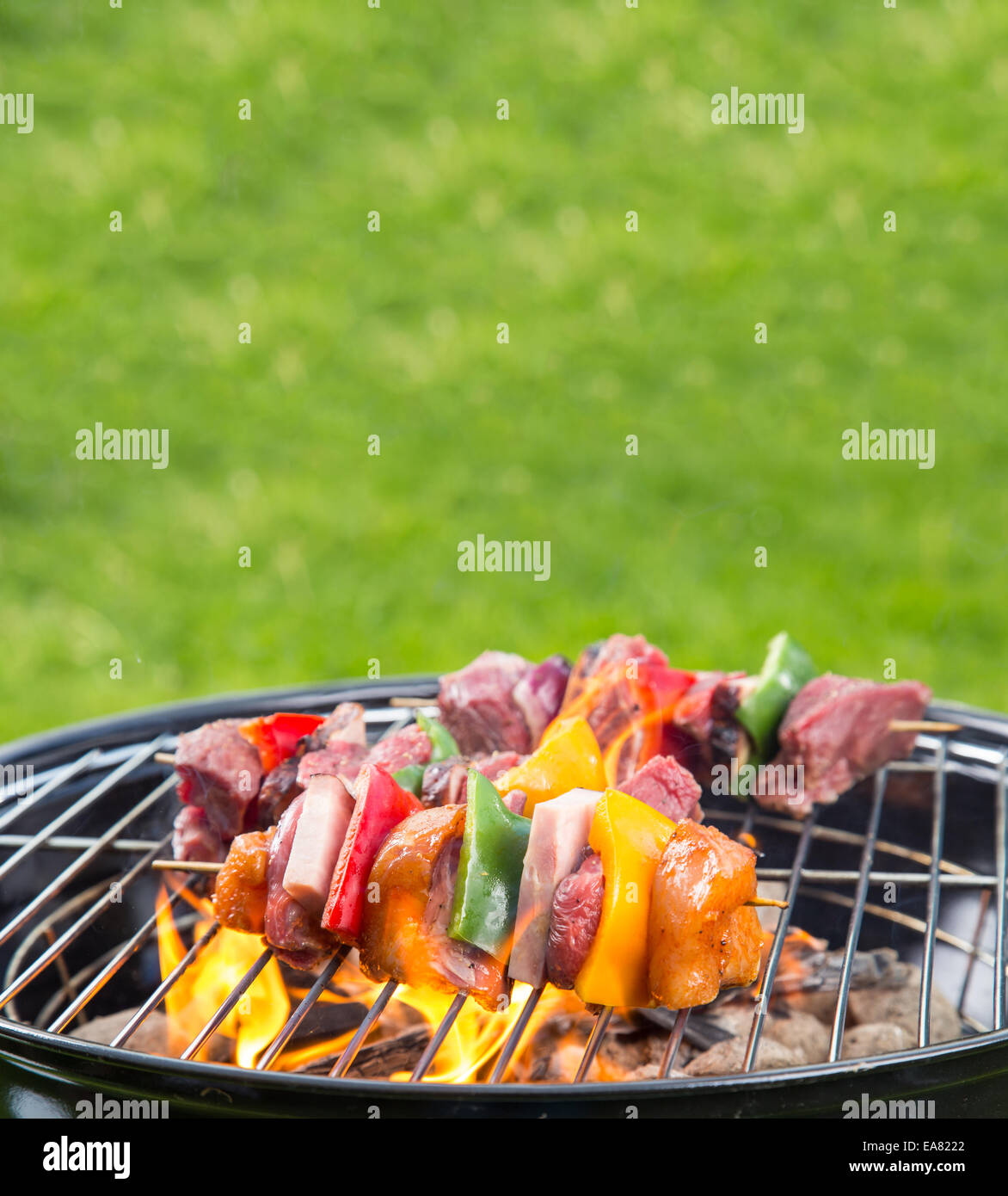 Meat and vegetable skewer on barbecue grill with fire Stock Photo - Alamy