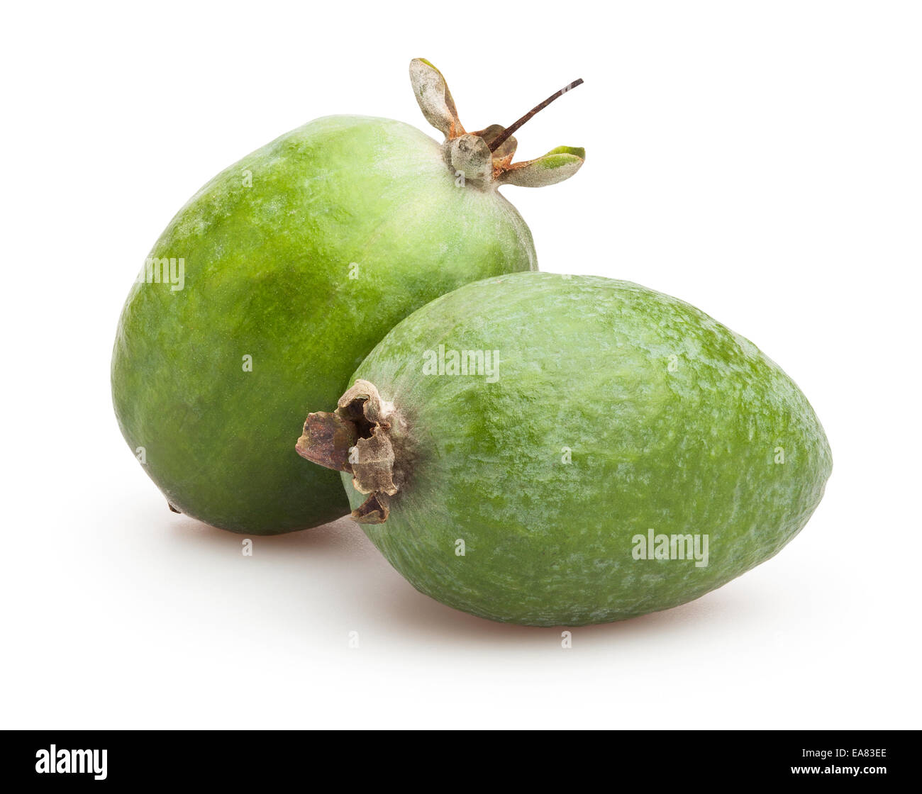Feijoas hi-res stock photography and images - Alamy