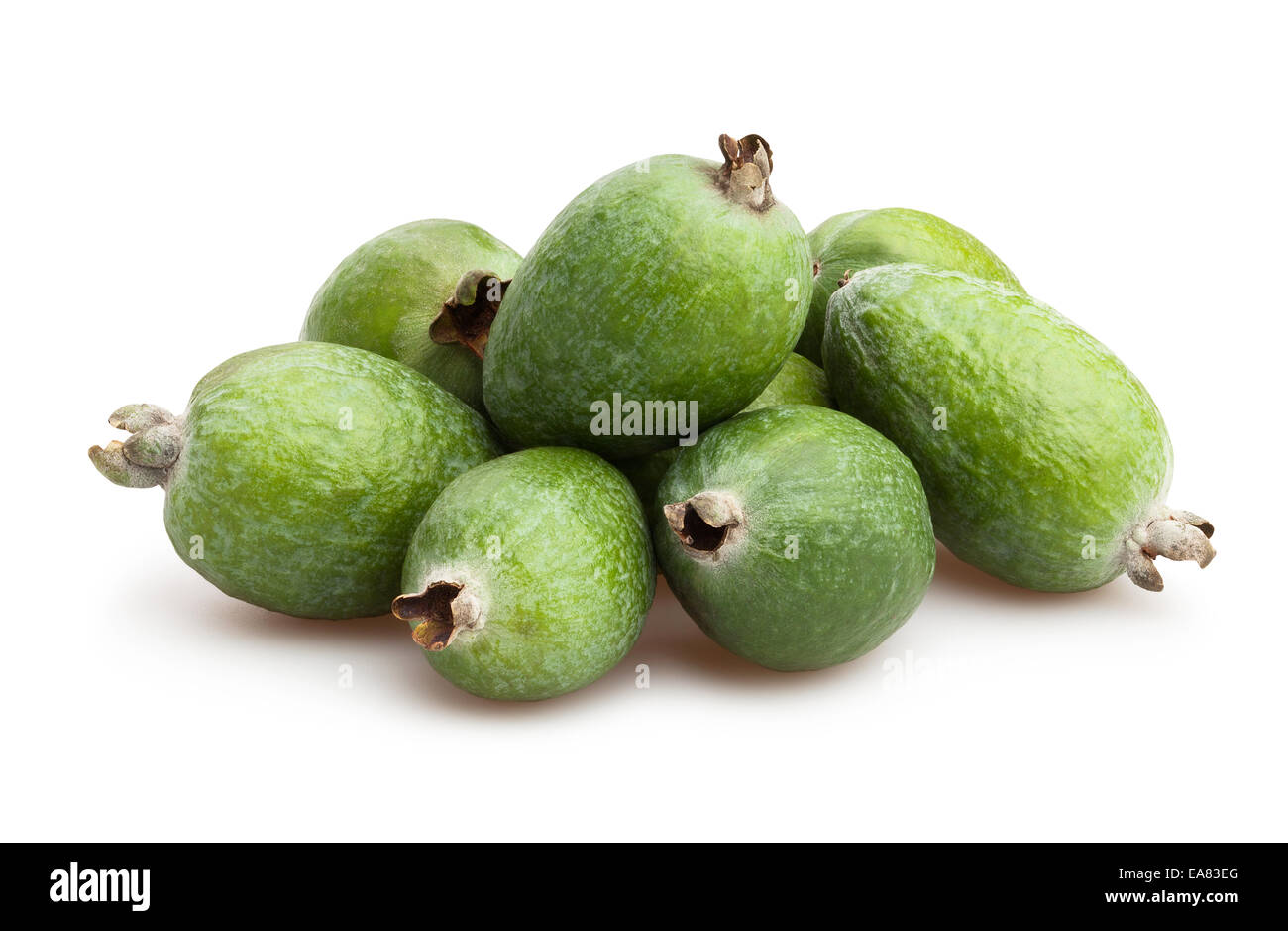 Feijoa sellowiana hi-res stock photography and images - Alamy