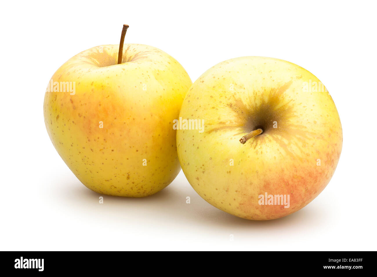yellow apples isolated Stock Photo - Alamy