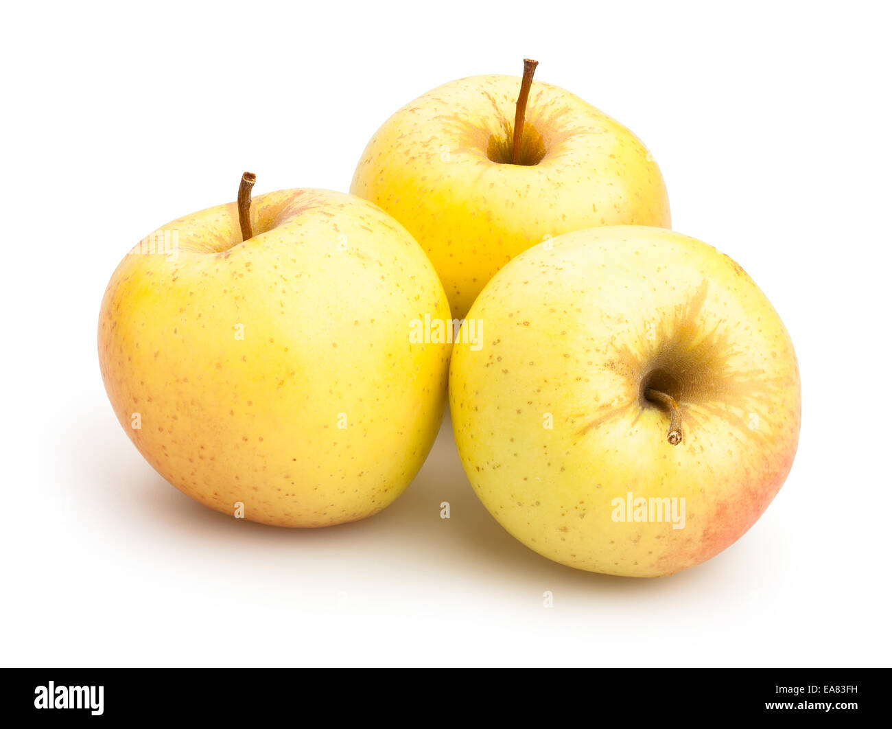 yellow apples isolated Stock Photo - Alamy