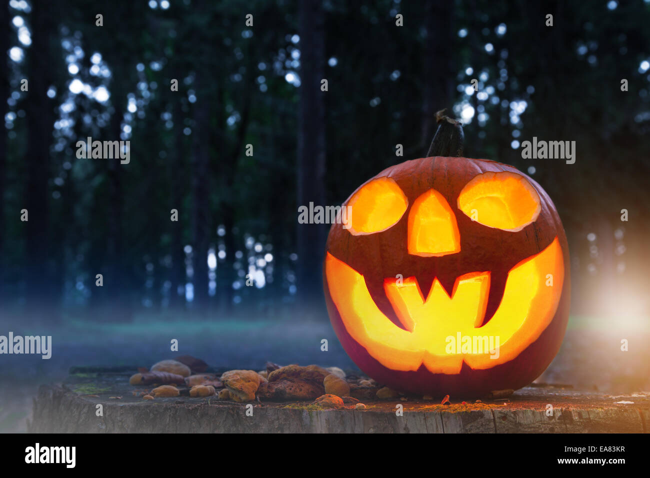 Burning halloween pumpkin in forest Stock Photo - Alamy