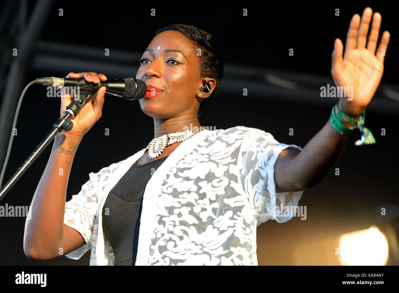 Bonobo band hi-res stock photography and images - Alamy