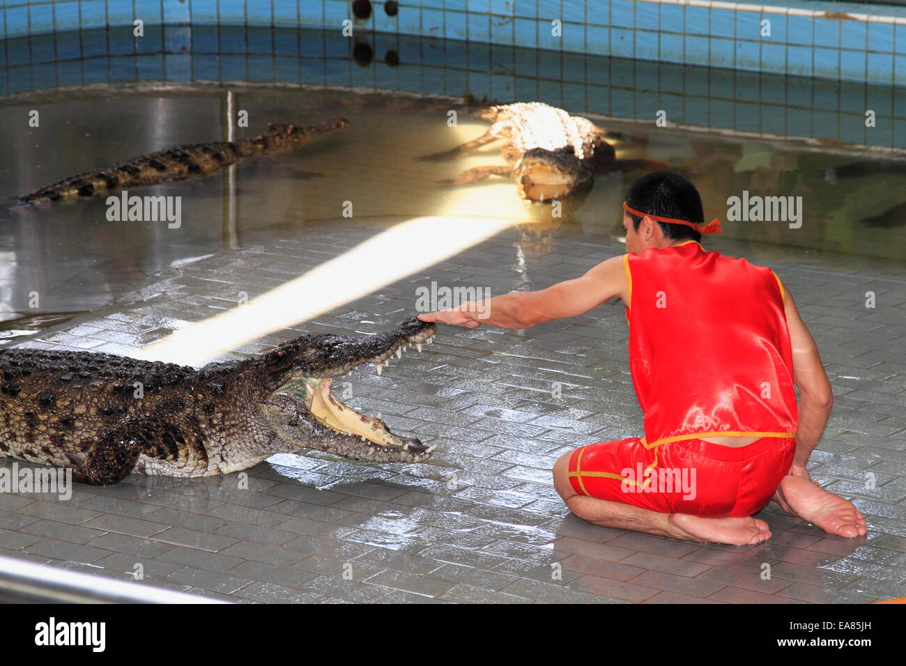 Thai show hi-res stock photography and images - Alamy