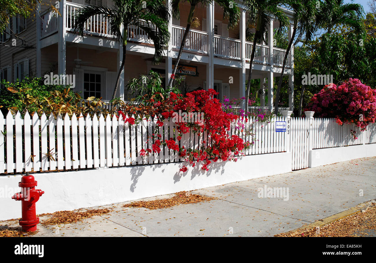 Key West Sidewalk Stock Photo - Alamy