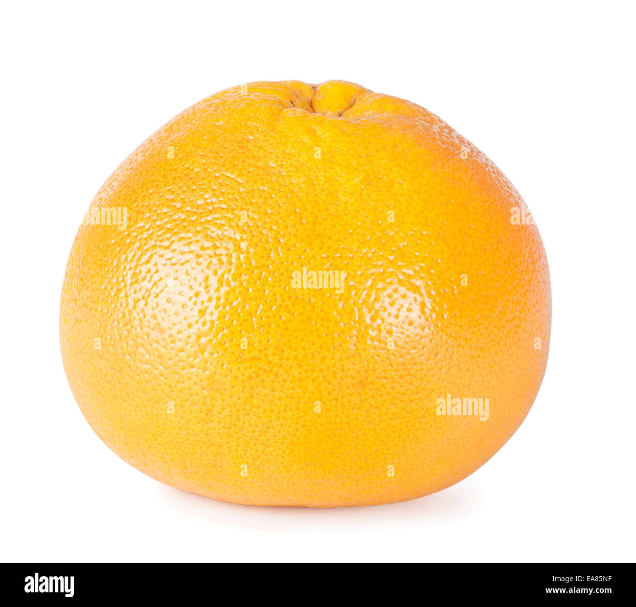 One ripe grapefruit on a white background Stock Photo - Alamy