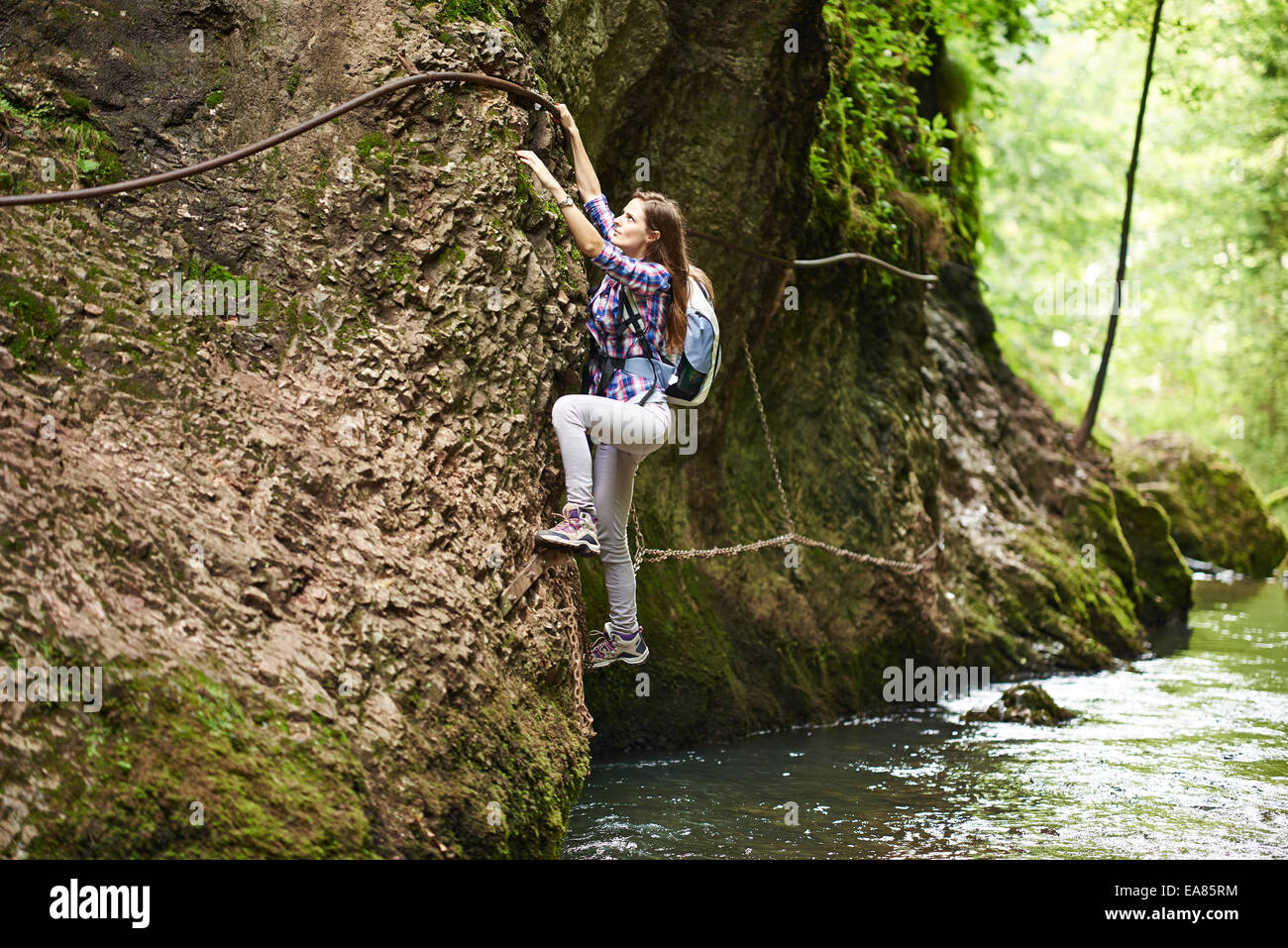 Young woman hiker climbing on safety cables in a gorge above the river ...