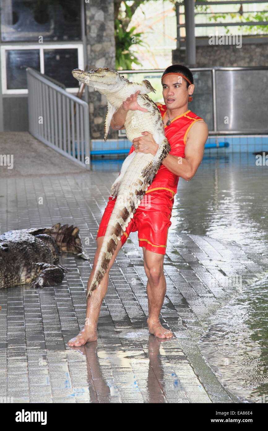 Man with crocodile hi-res stock photography and images - Alamy