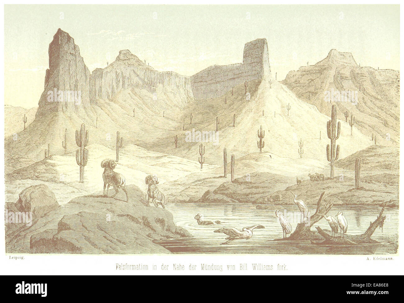 An 1861 illustration by Möllhausen showing a rock formation near the ...