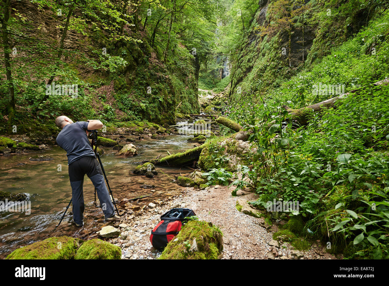 Professional nature photographer shooting landscapes in a canyon, from ...
