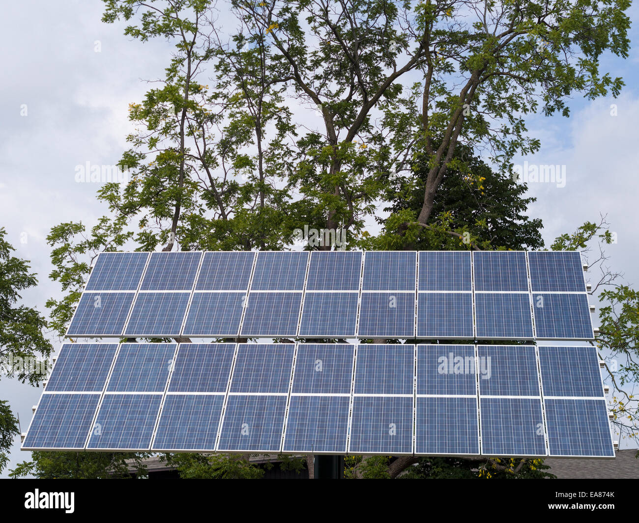 Tree branch photovoltaic panels in hi-res stock photography and images ...