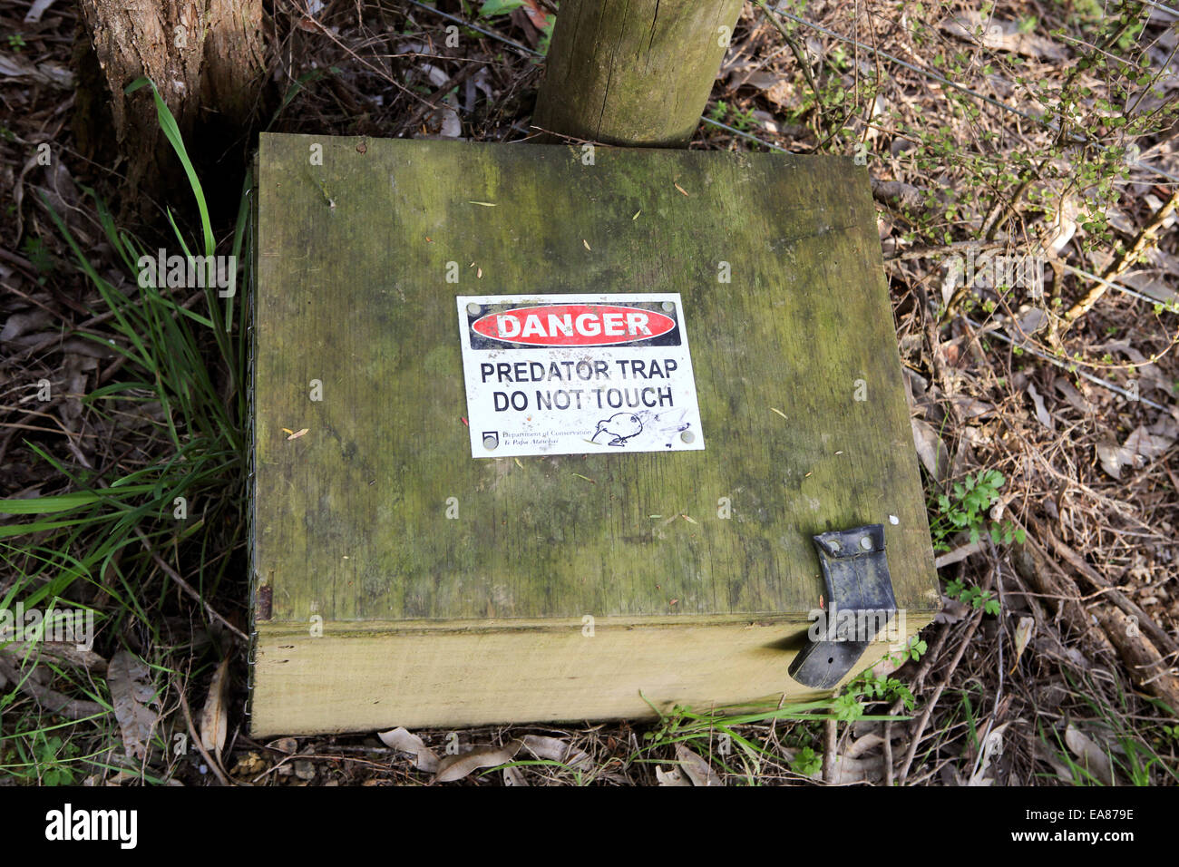Wooden predator trap box in New Zealand forest to protect Kiwi and ...